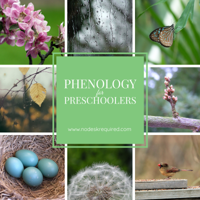 phenology for kids - simple phenology for preschoolers